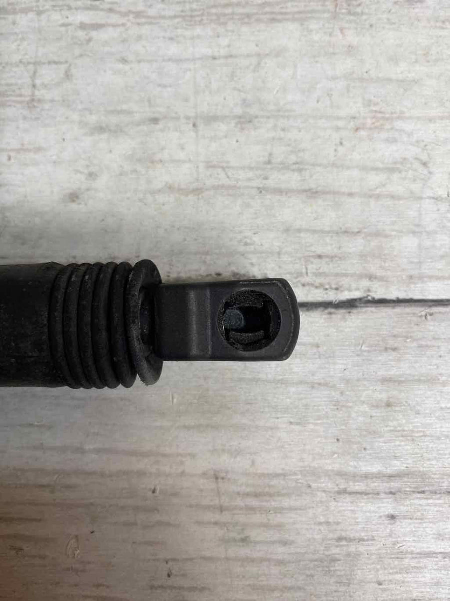 2019 FORD PICKUP F150 REAR LID GATE STRUT SUPPORT OEM – INSIDE AUTO